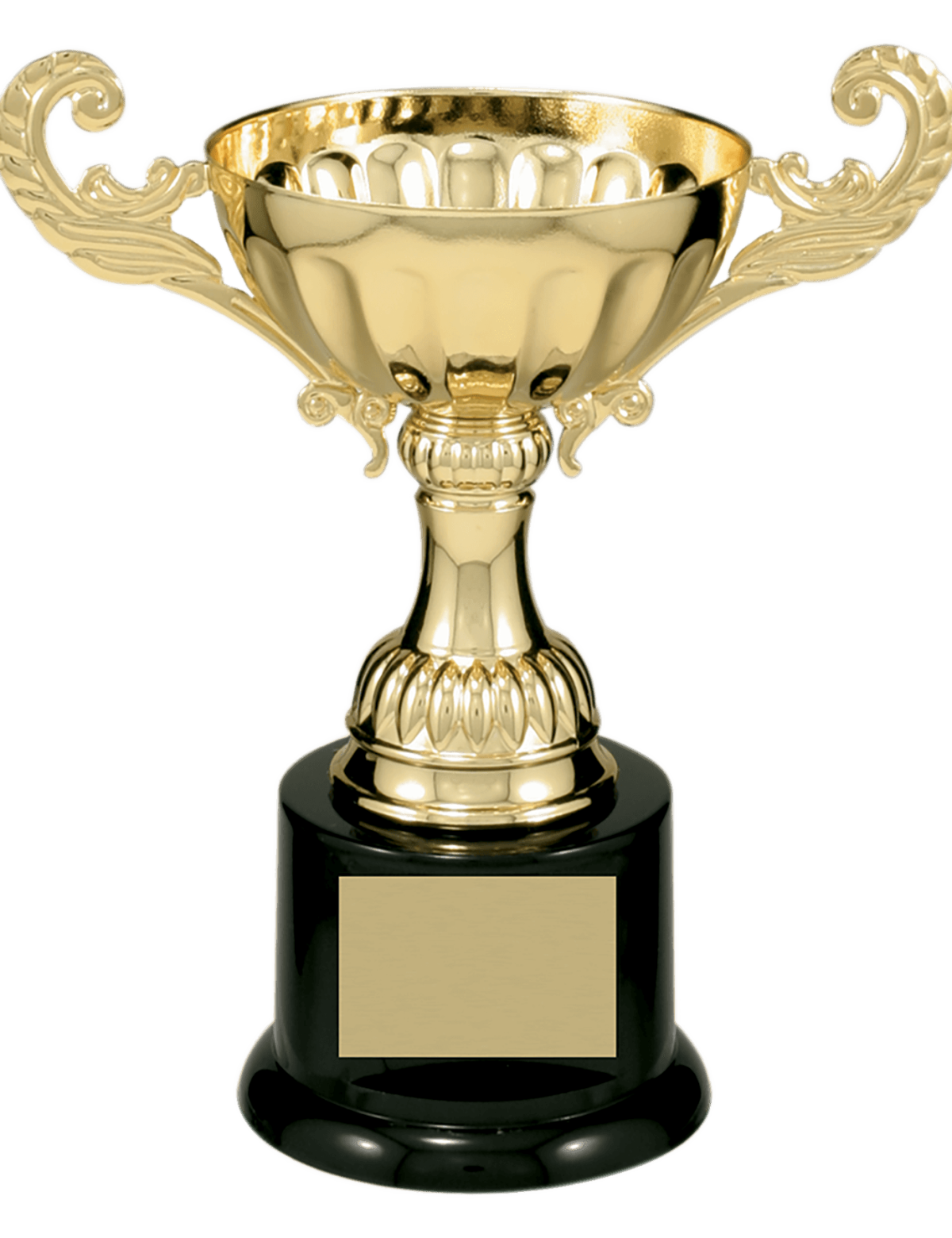Gold Completed Metal Cup Trophy on Plastic Base – Barsana Awards & Trophies